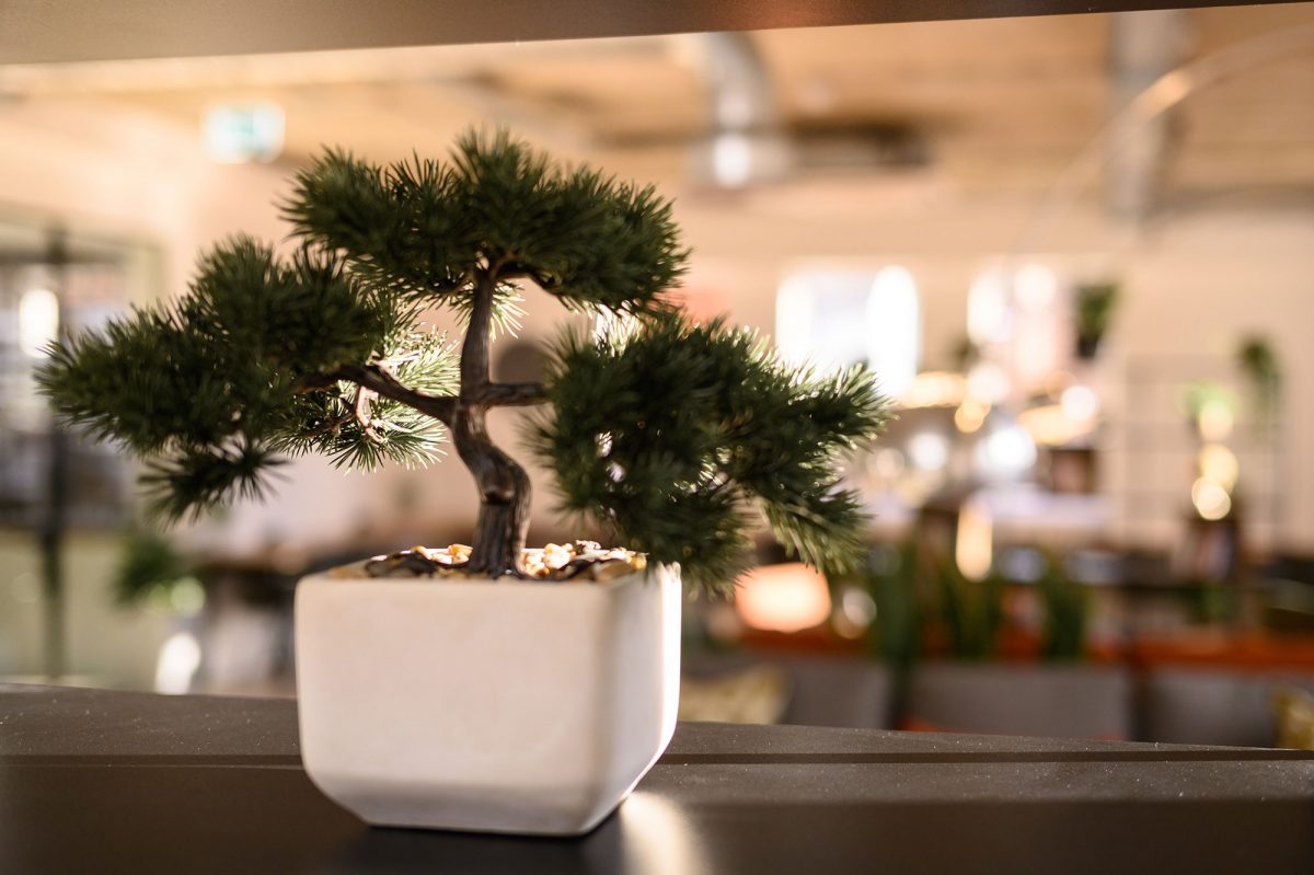 The Quad at ONE Station Hill Reading - Quad | Modern Workspaces in ...