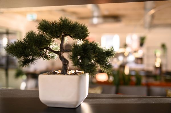 The Quad at ONE Station Hill Reading - Quad | Modern Workspaces in ...